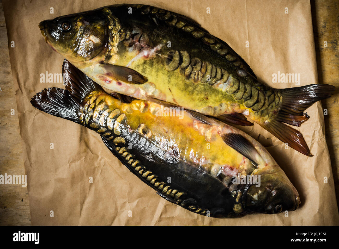 Fresh raw mirror carp fish on craft paper, top view, rustic minimalist ...