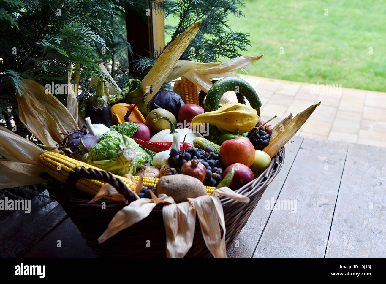 Basket of organic food vegetables, autumn goods after harvest Stock ...