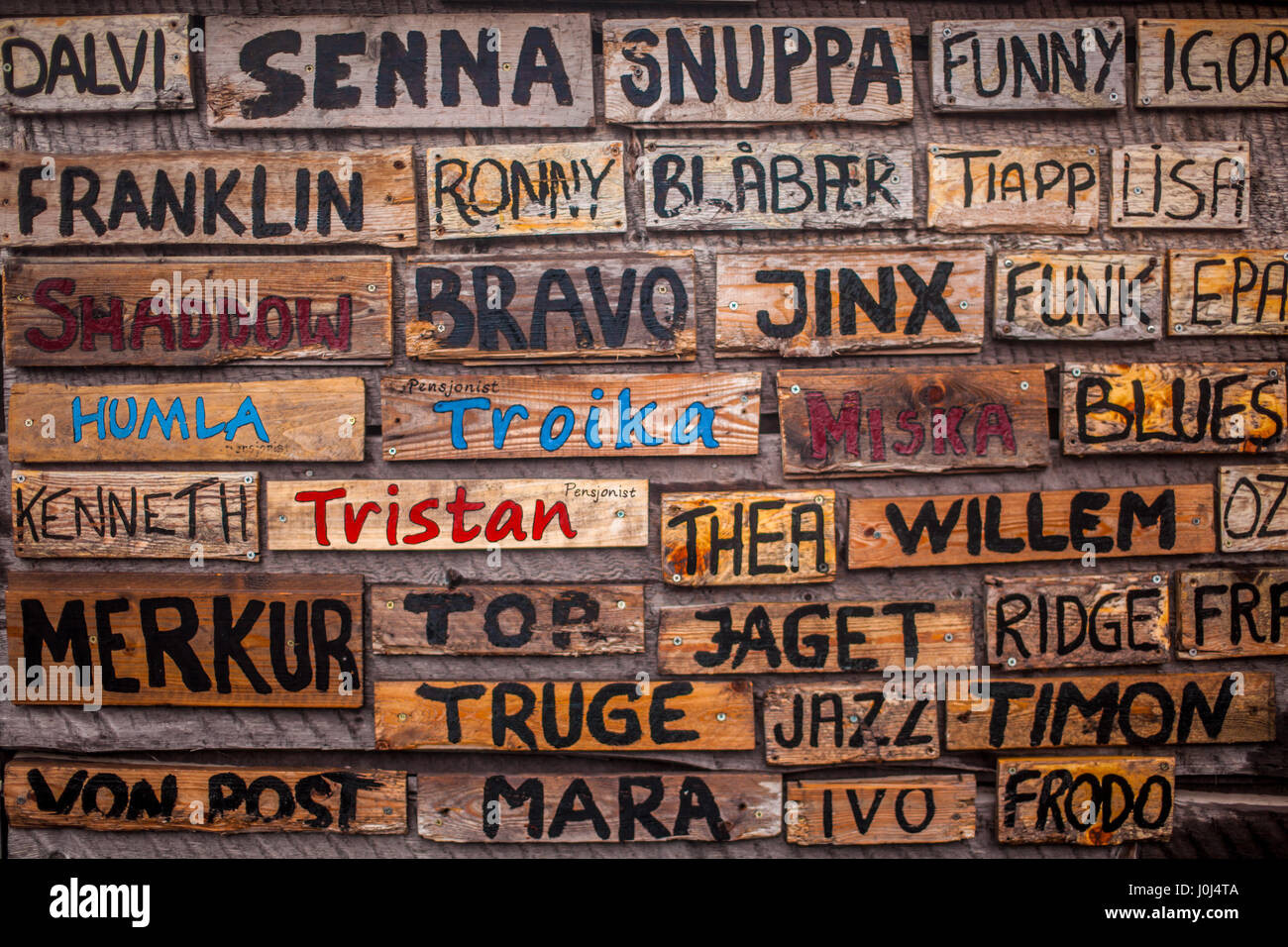Names of sled dogs in Longyearbyen Svalbard Norway Stock Photo - Alamy