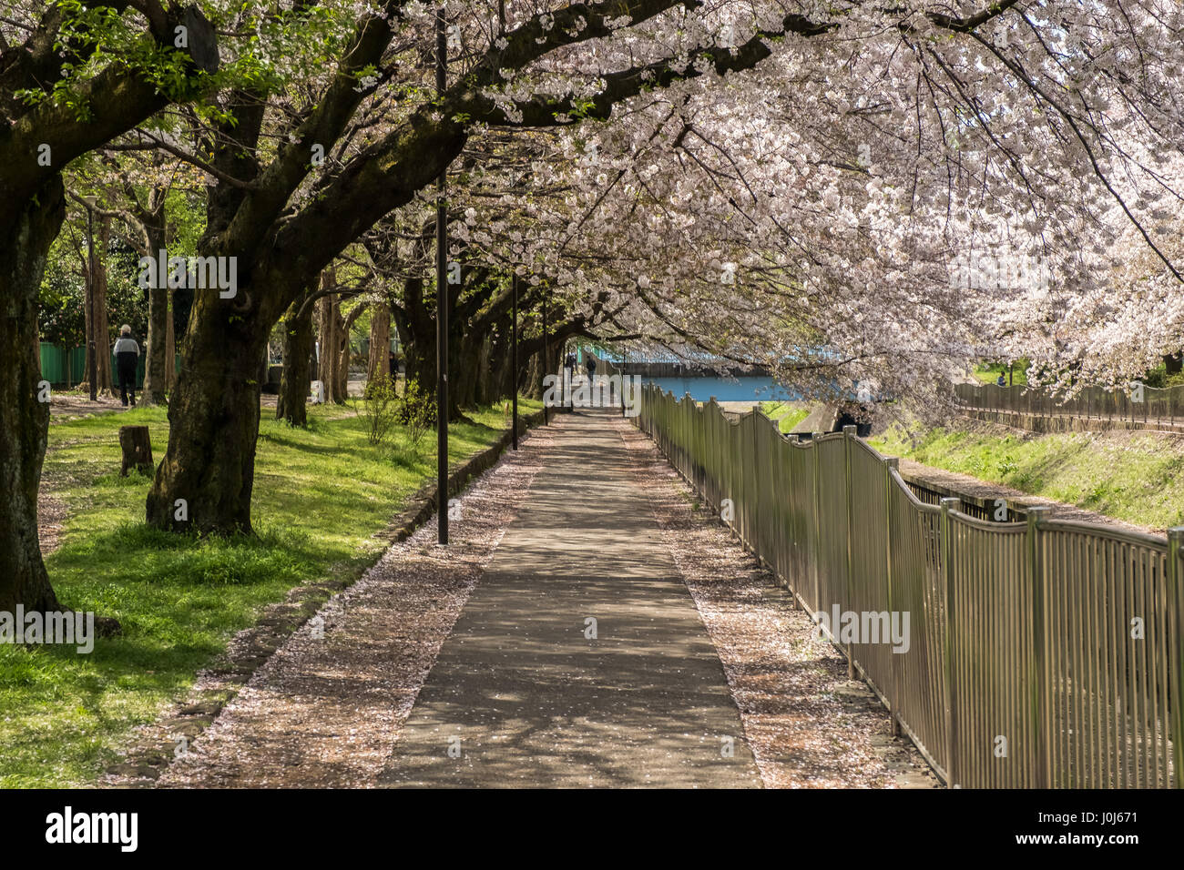 Complete peace in spring Stock Photo - Alamy
