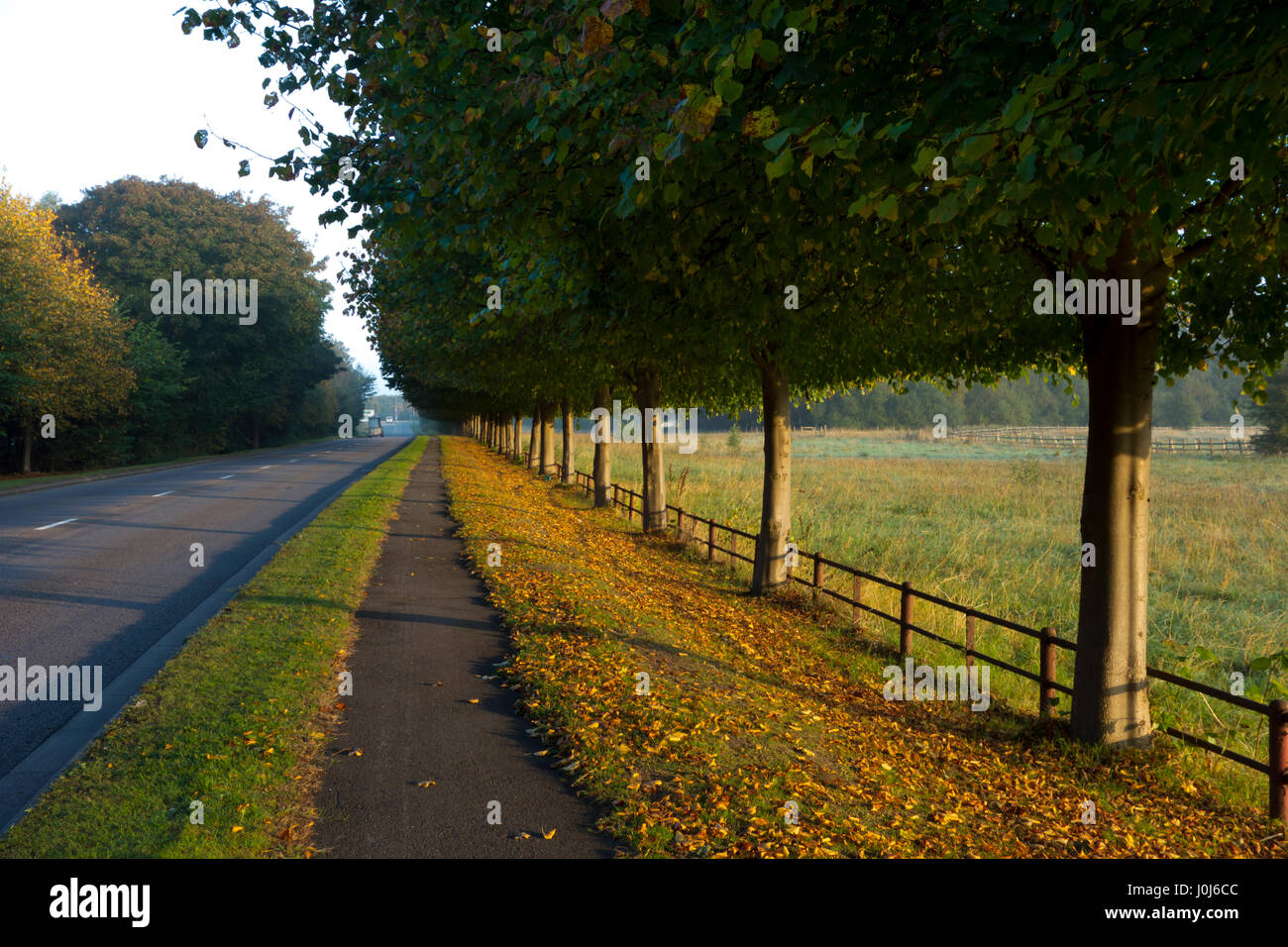 Europe, UK, England, Durham autumn path Stock Photo - Alamy