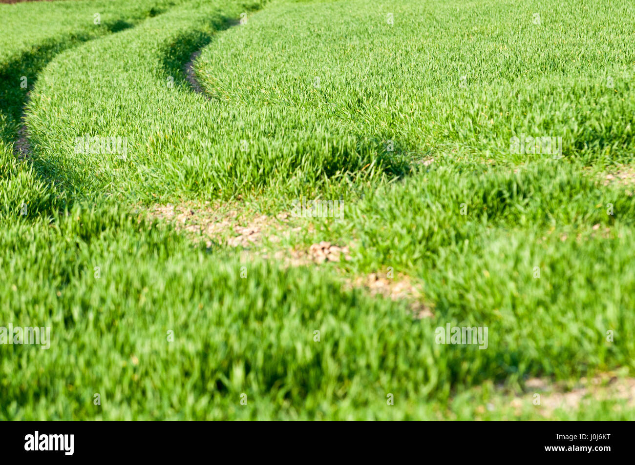 Long tractor tracks hi-res stock photography and images - Alamy