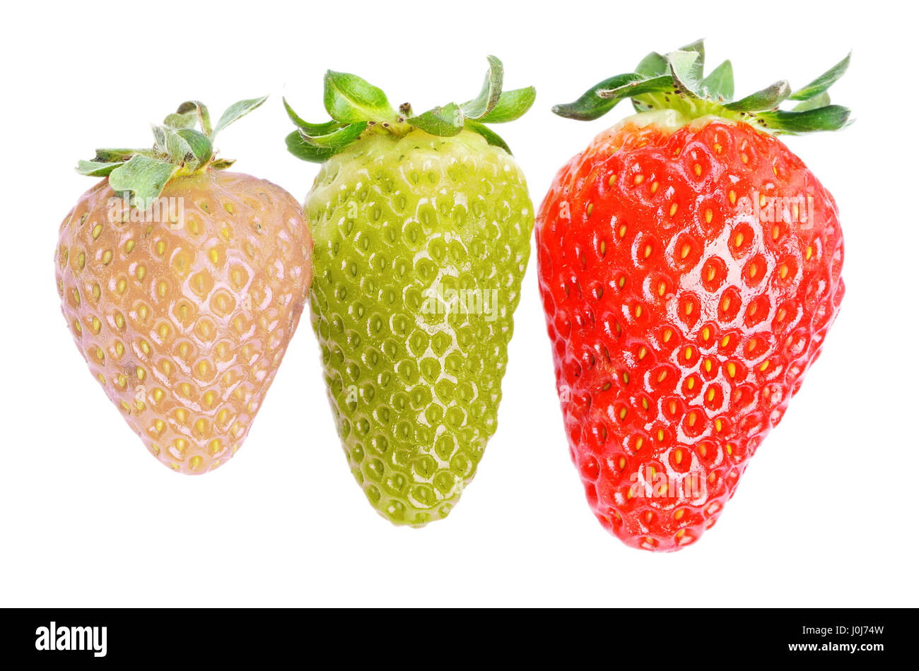 3 different strawberries isolated on white Stock Photo - Alamy