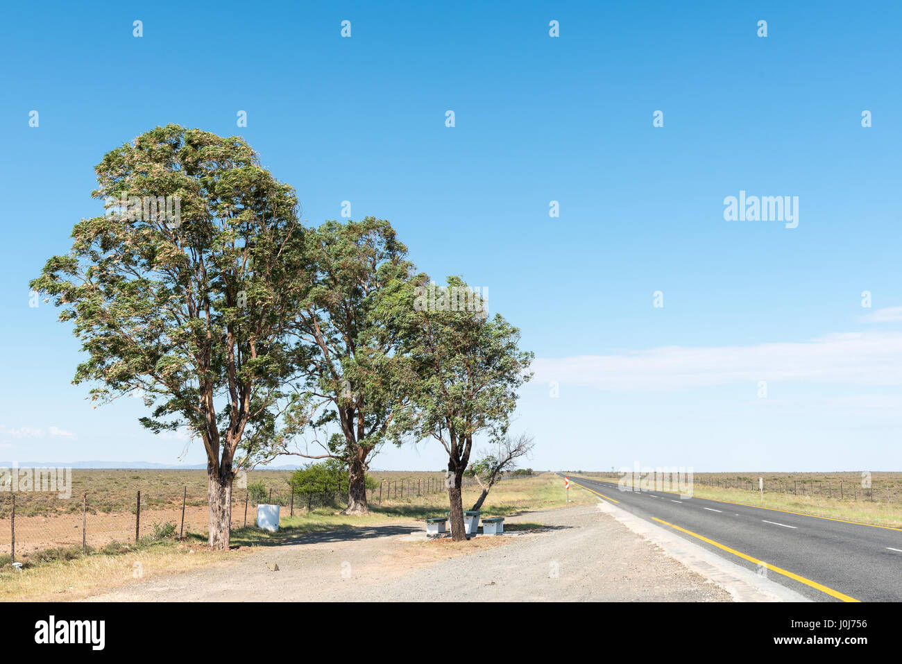 A shaded picnic spot on the N9 road between Aberdeen, and Willowmore in ...