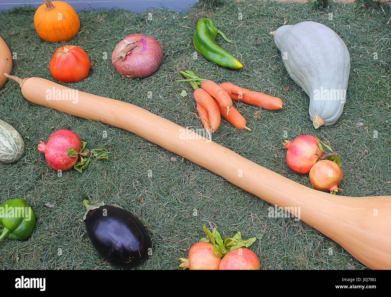 vegetables on the grass Stock Photo - Alamy