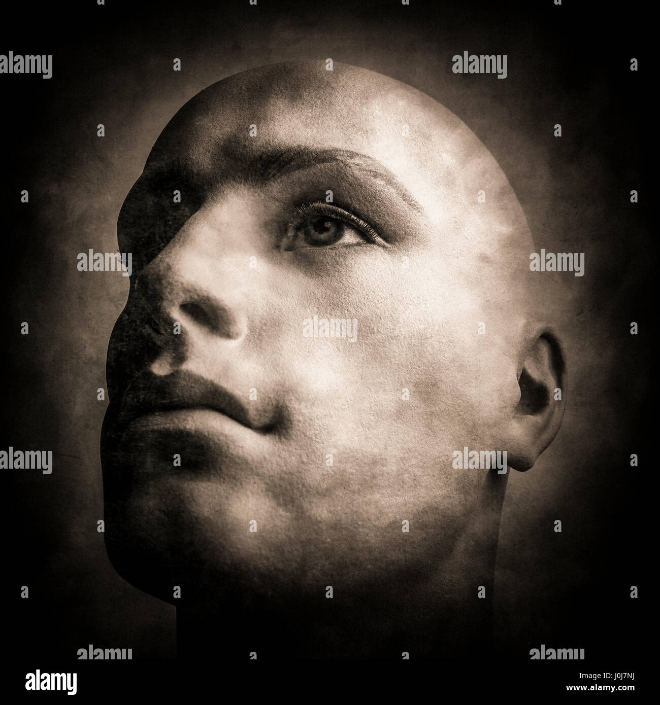 Human Dummy High Resolution Stock Photography and Images - Alamy