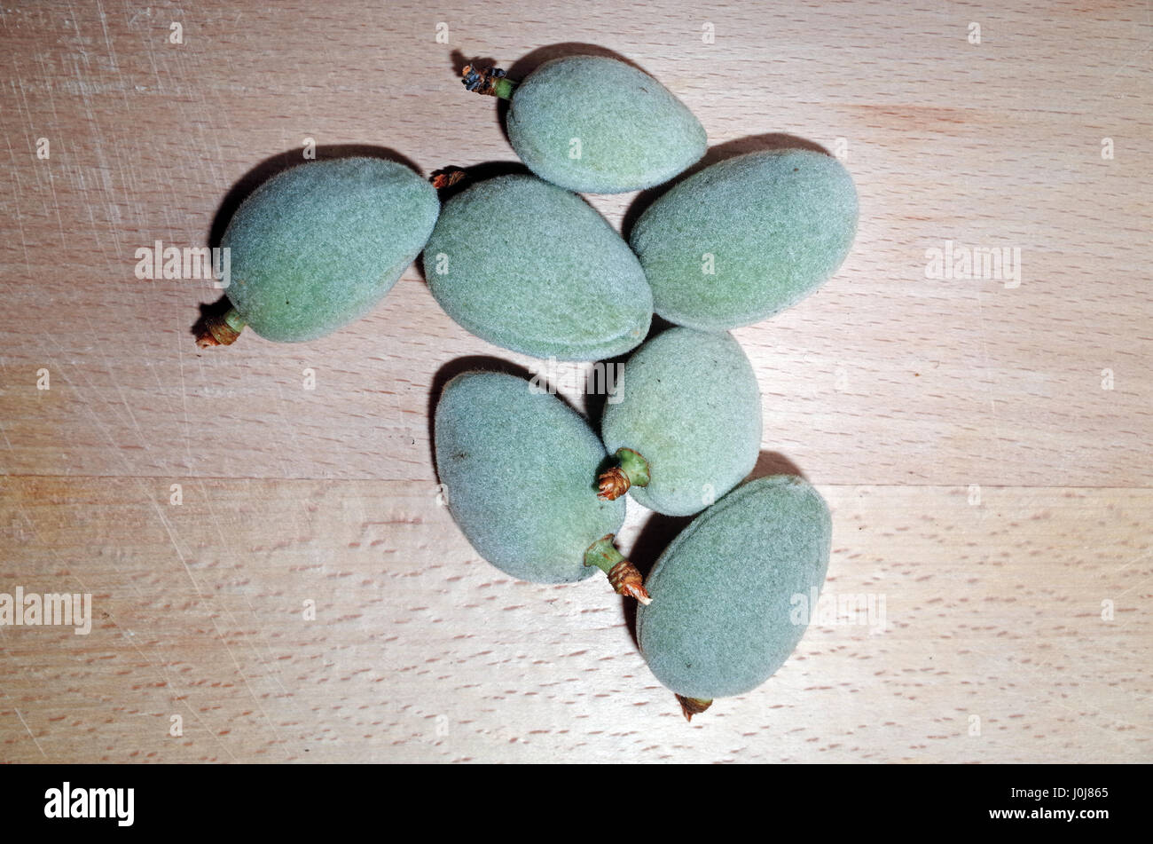 Almond'fruits (amygdalus communis Stock Photo - Alamy