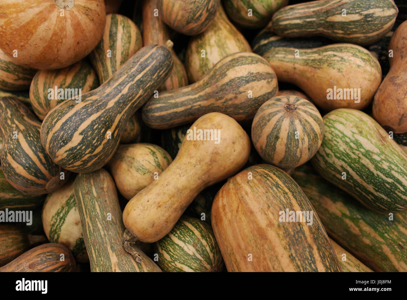 Zucchini orange texture background Stock Photo - Alamy