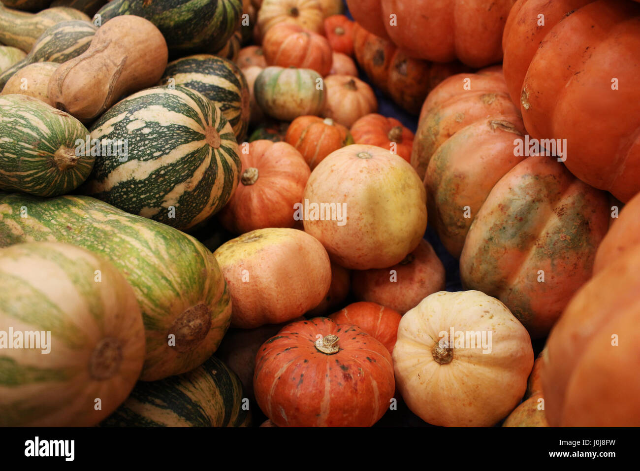 Orange pumpking hi-res stock photography and images - Alamy