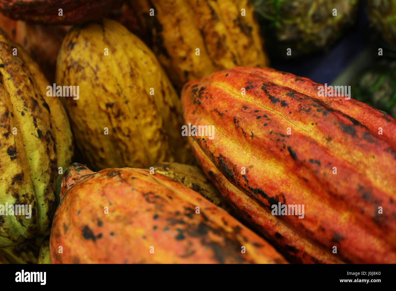 Cocoa cacau closeup background Stock Photo - Alamy