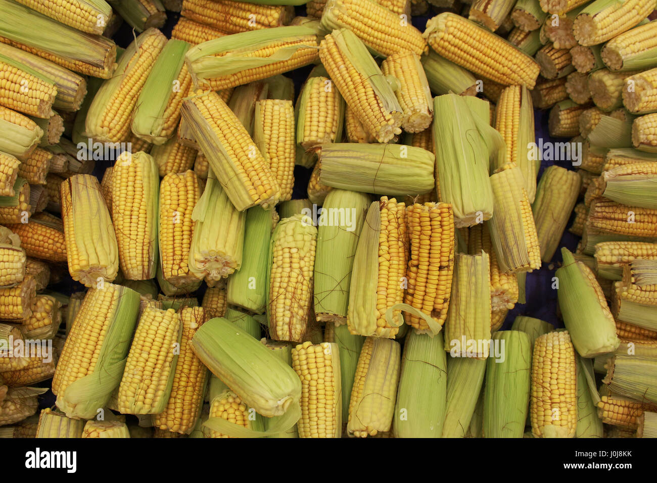 Corn Cob texture background closeup Stock Photo - Alamy
