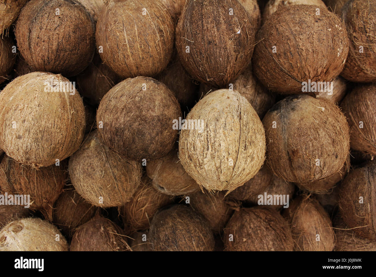 Dried brown coconuts Stock Photo - Alamy