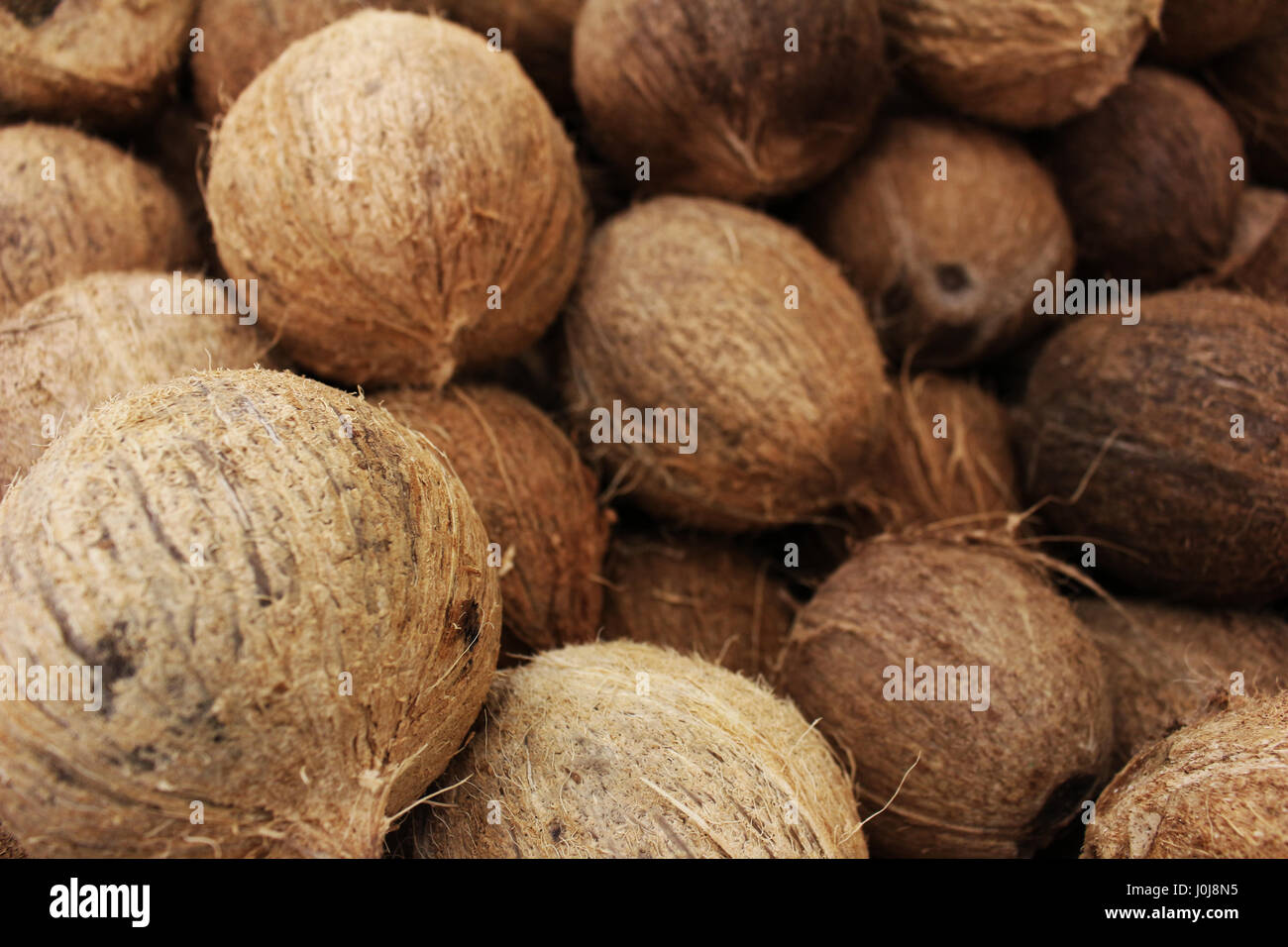 Mix coconuts hi-res stock photography and images - Alamy