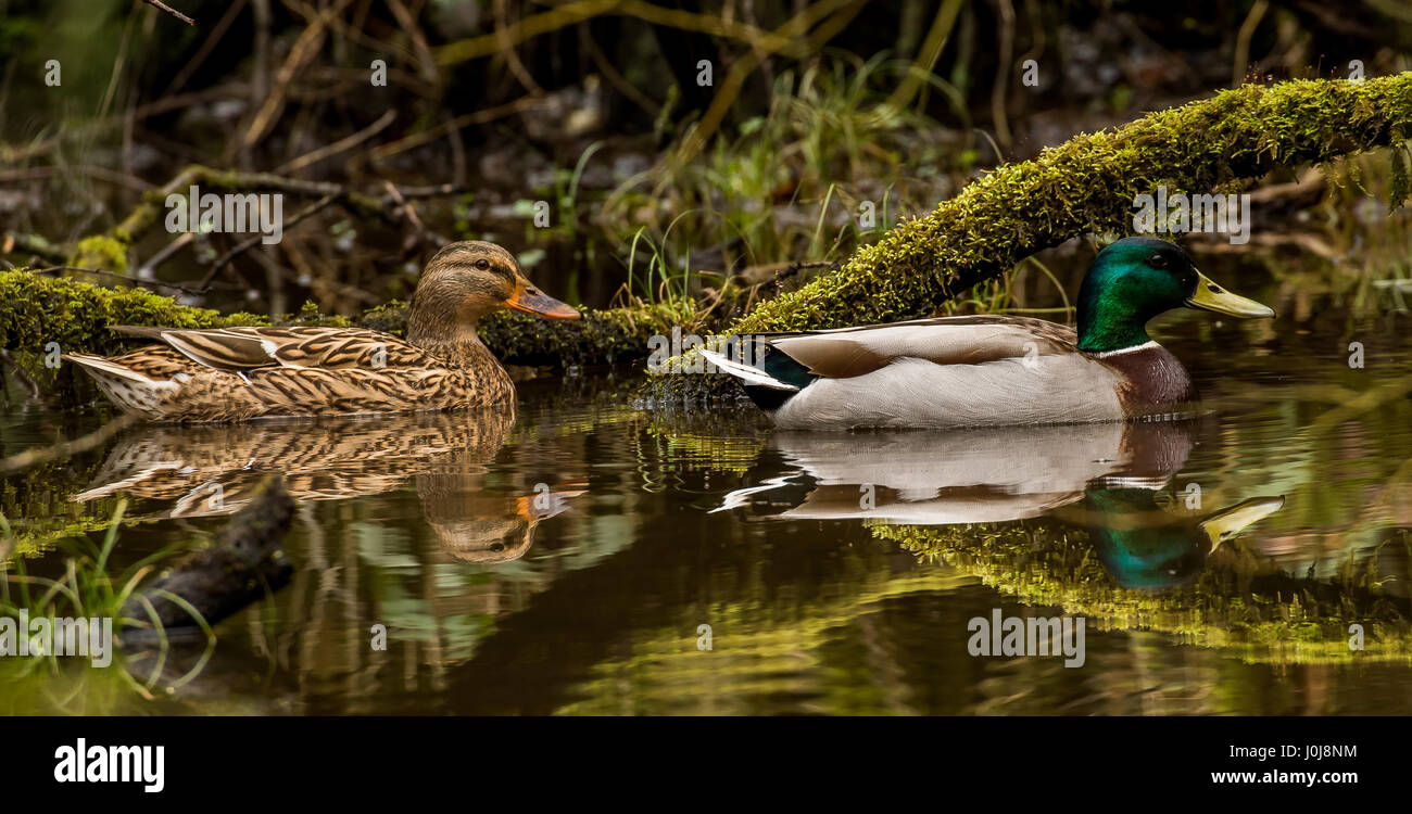 Rowley lake hi-res stock photography and images - Alamy