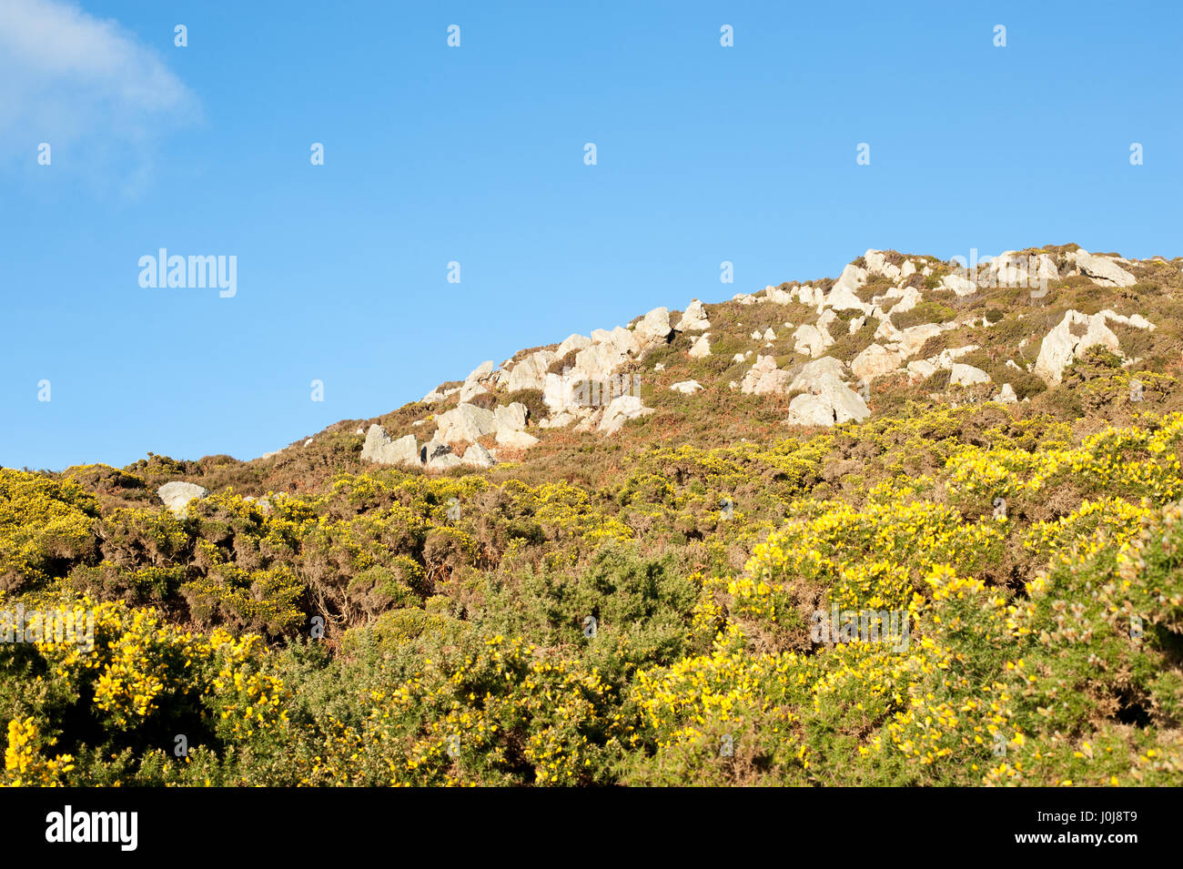 Beautiful hillside in Howth peninsula in Ireland Stock Photo - Alamy