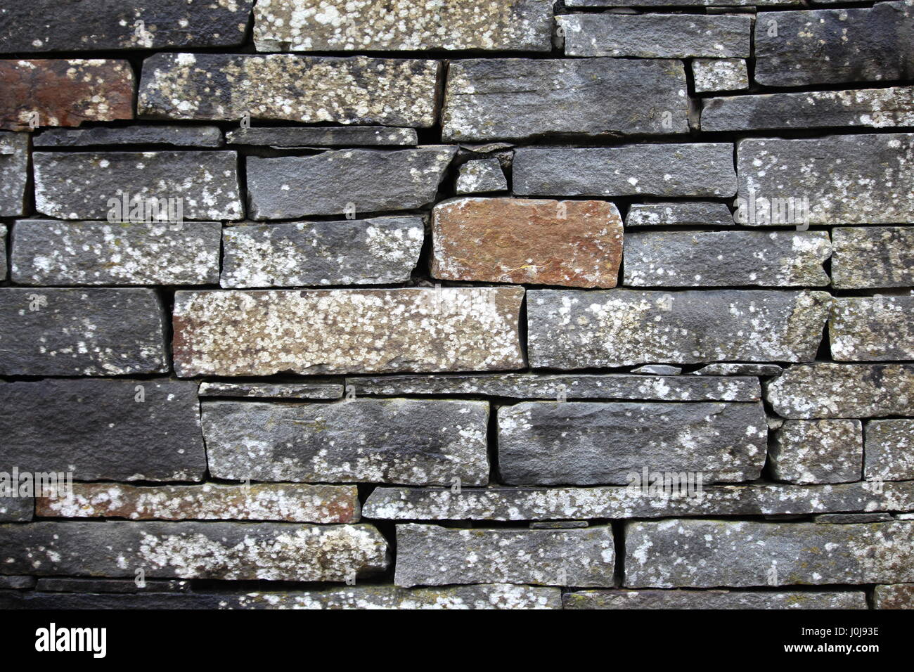 Background texture of an old dry stone slate wall with lichen Stock ...