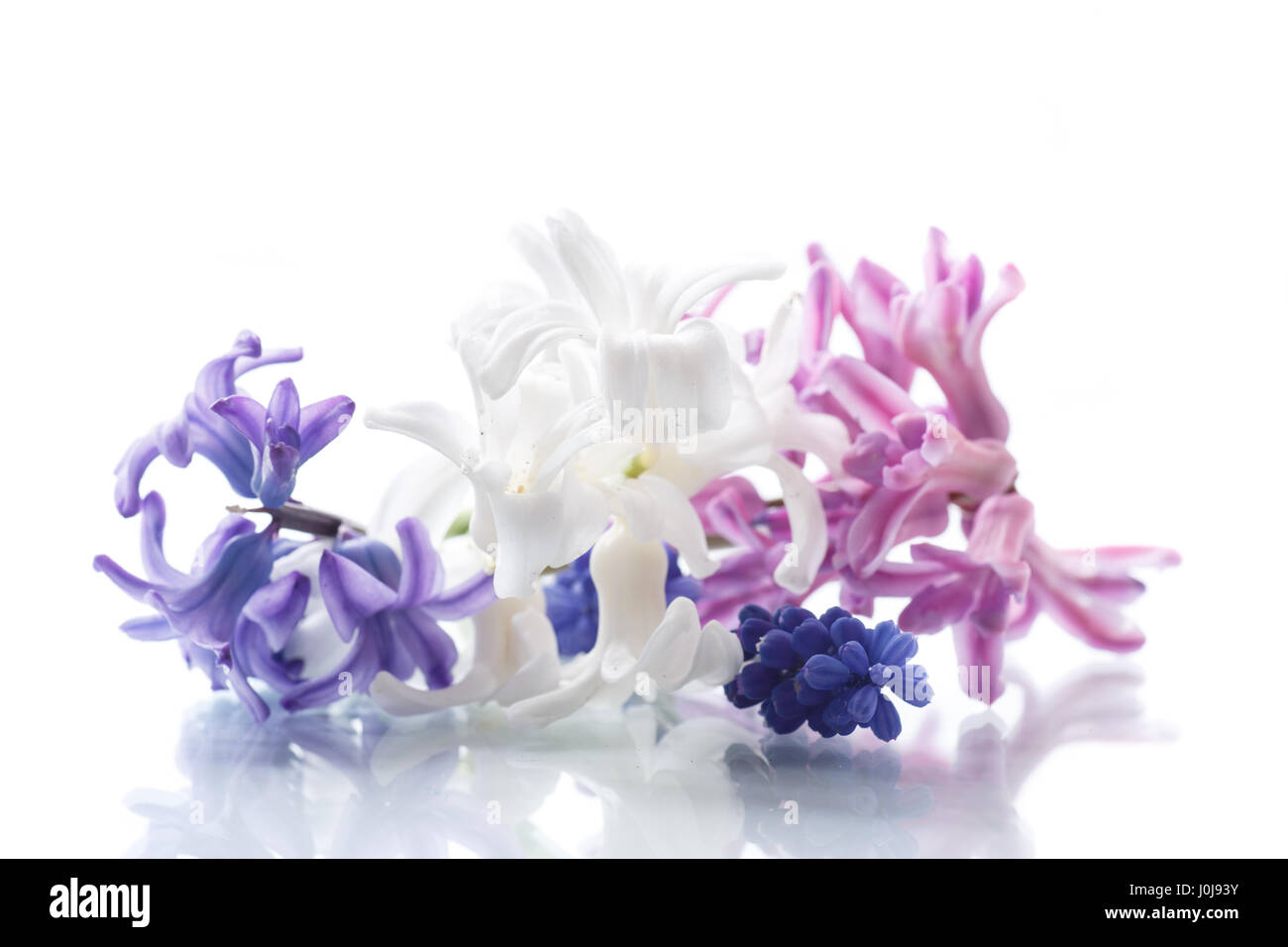 beautiful bouquet of spring flowers on a white background Stock Photo ...