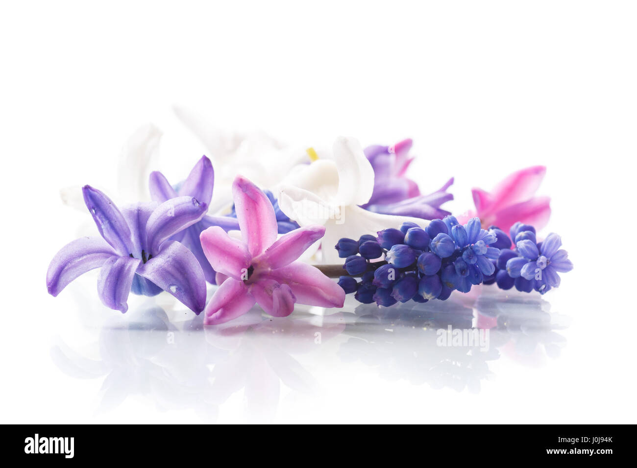 beautiful bouquet of spring flowers on a white background Stock Photo ...