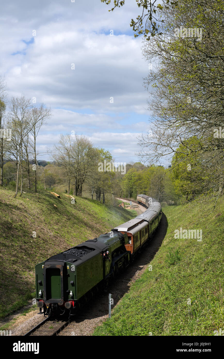 Flying Scotsman on the Bluebell Line Stock Photo - Alamy