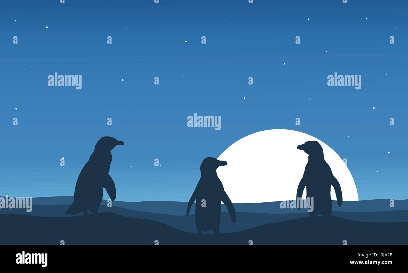 Penguin silhouette night scenery hi-res stock photography and images ...