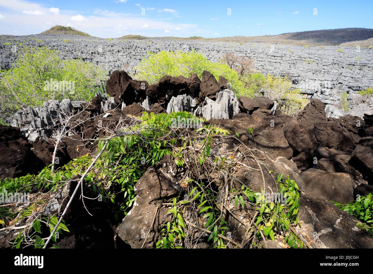 Curiously strange rock formations of fantastically eroded limestone ...