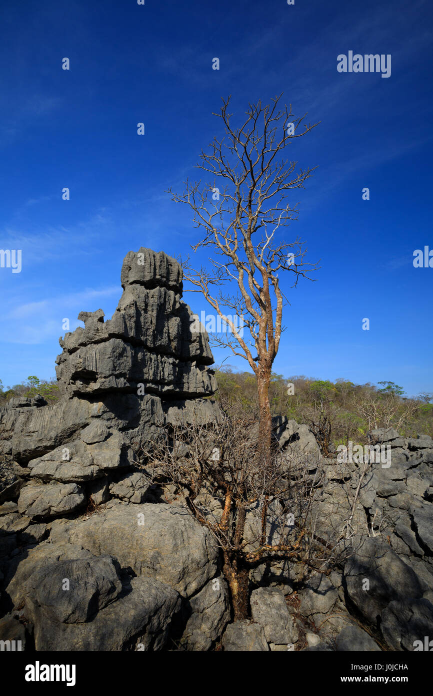 Curiously strange rock formations of fantastically eroded limestone ...