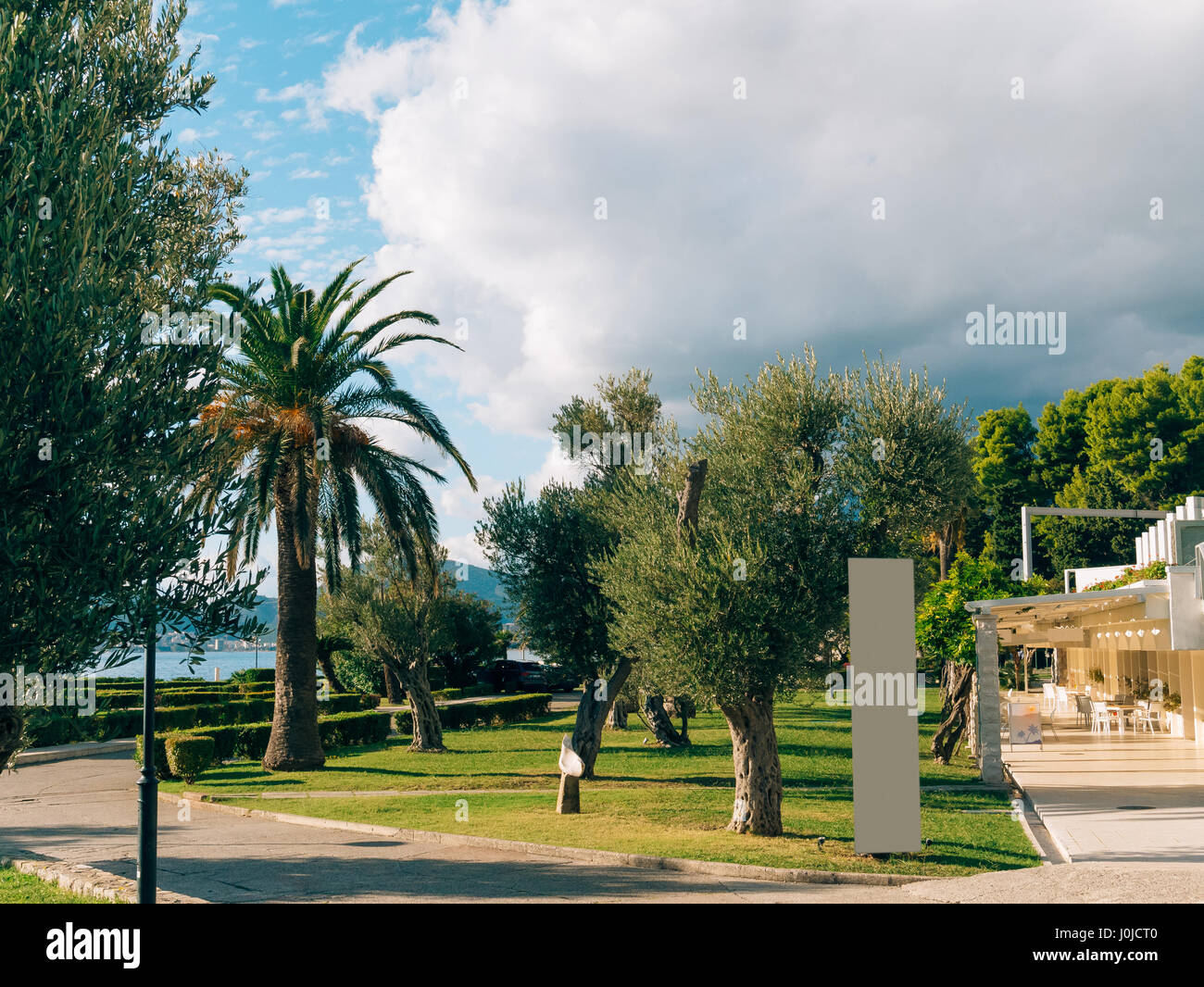 Date palm in montenegro fruit hi-res stock photography and images - Alamy