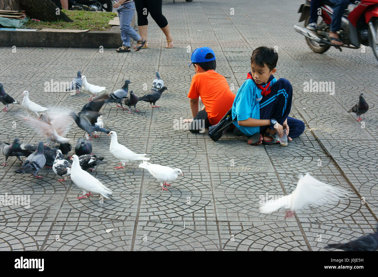 HO CHI MINH CITY, VIET NAM- DEC 24: Asian kid feeding bird with ...