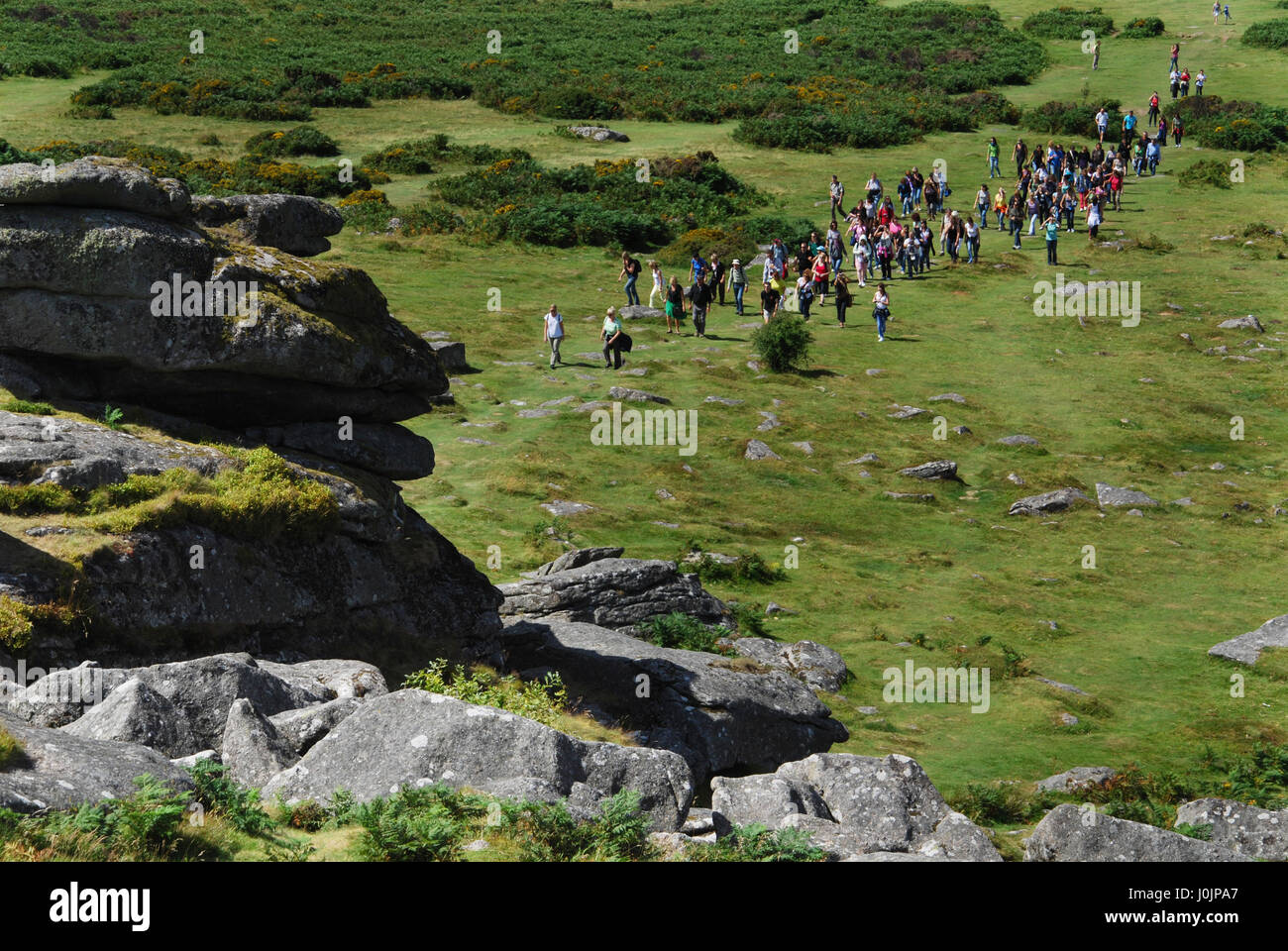 busload of people walking towards Hound Tor Dartmoor National park, UK ...