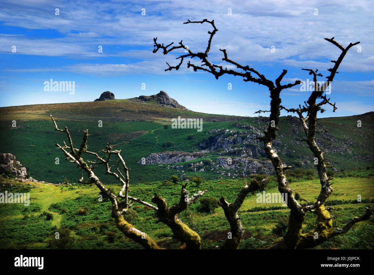 Haytor, Dartmoor National Park UK Stock Photo - Alamy