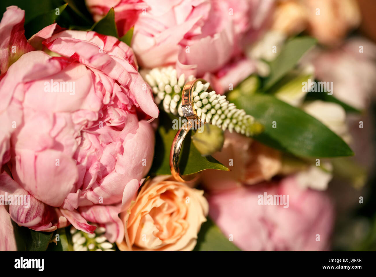 Love pions hi-res stock photography and images - Alamy