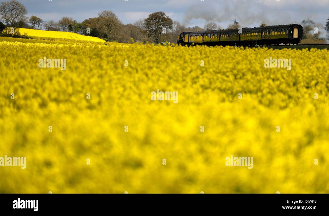 A British Railways Standard Class 9F steam train makes it's way along ...