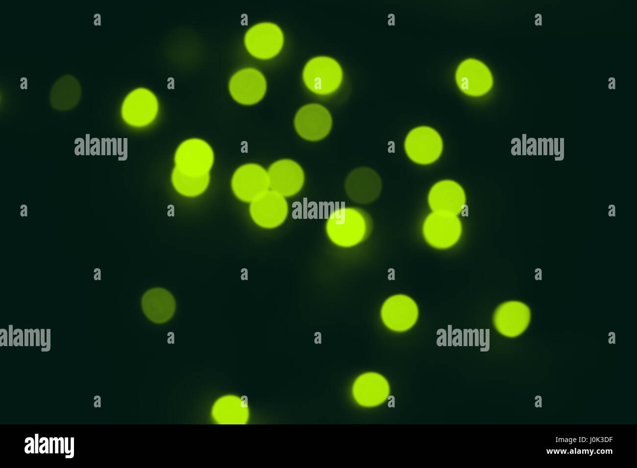 Beautiful diffuse blur. Bokeh effect and green color image Stock Photo ...