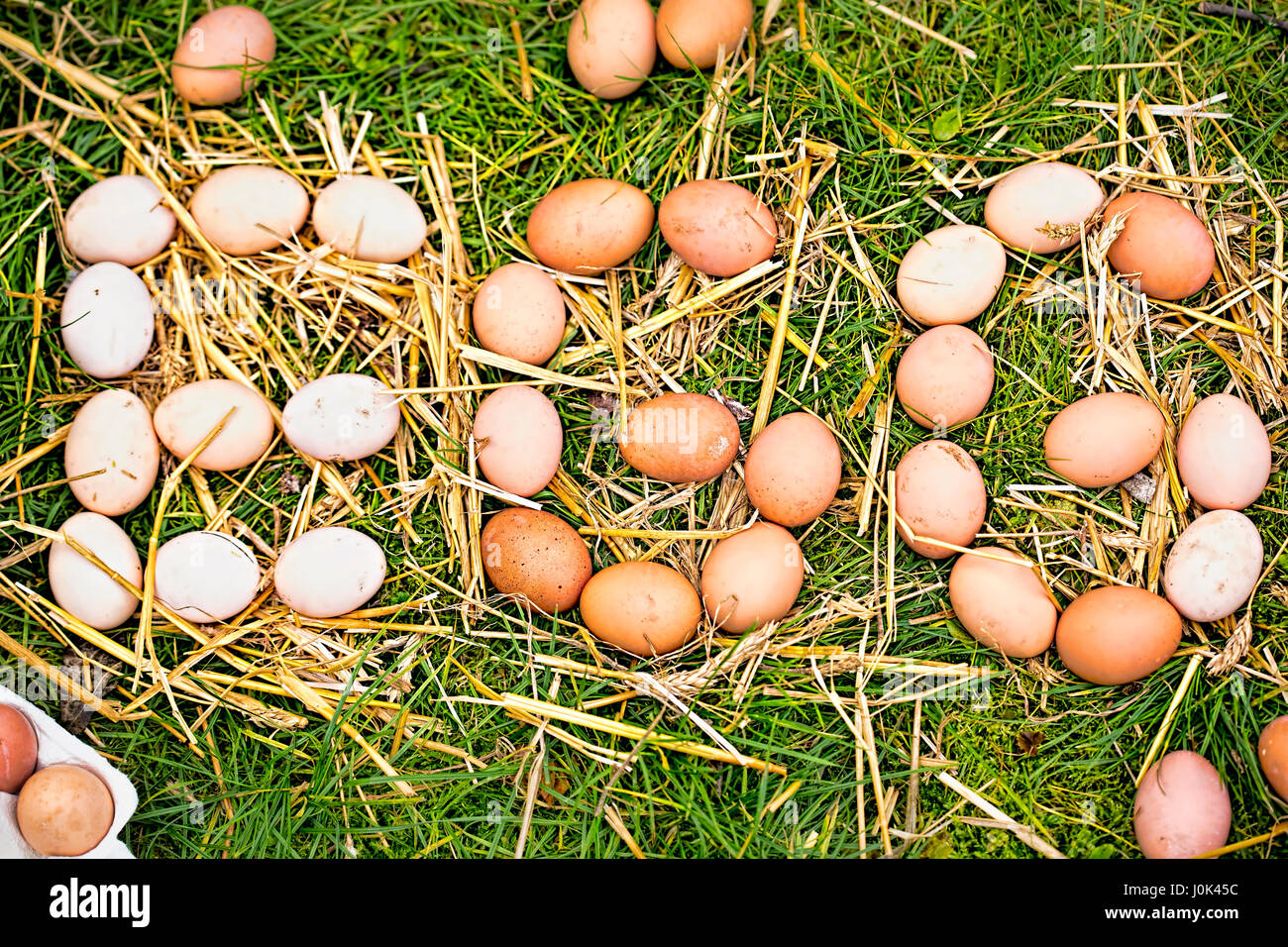 Writing on egg hi-res stock photography and images - Alamy