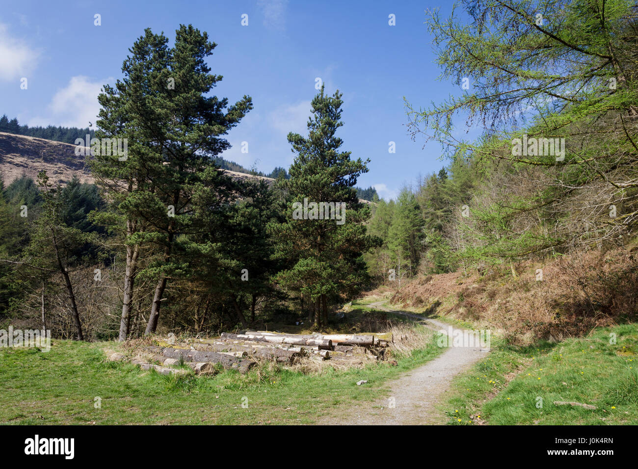 The path that takes you towards Pen pych Waterfall above Blaencwm in ...