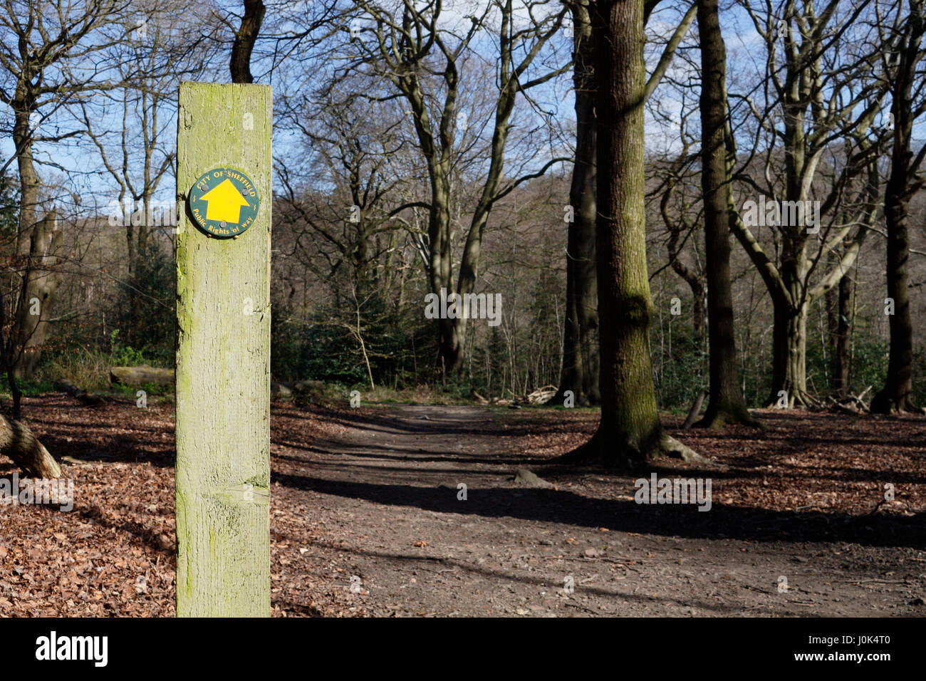 Suburban scene hi-res stock photography and images - Alamy