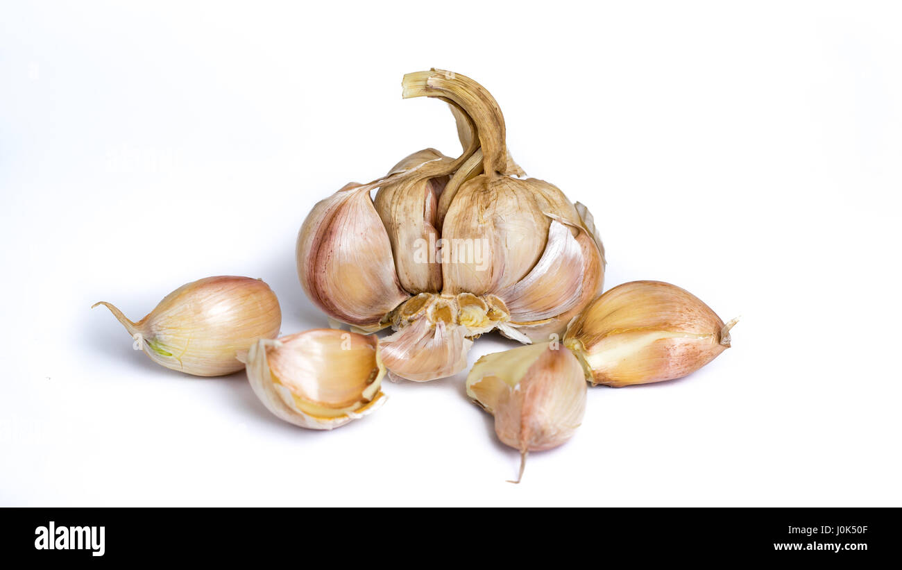 Organic garlic in front of white background Stock Photo - Alamy