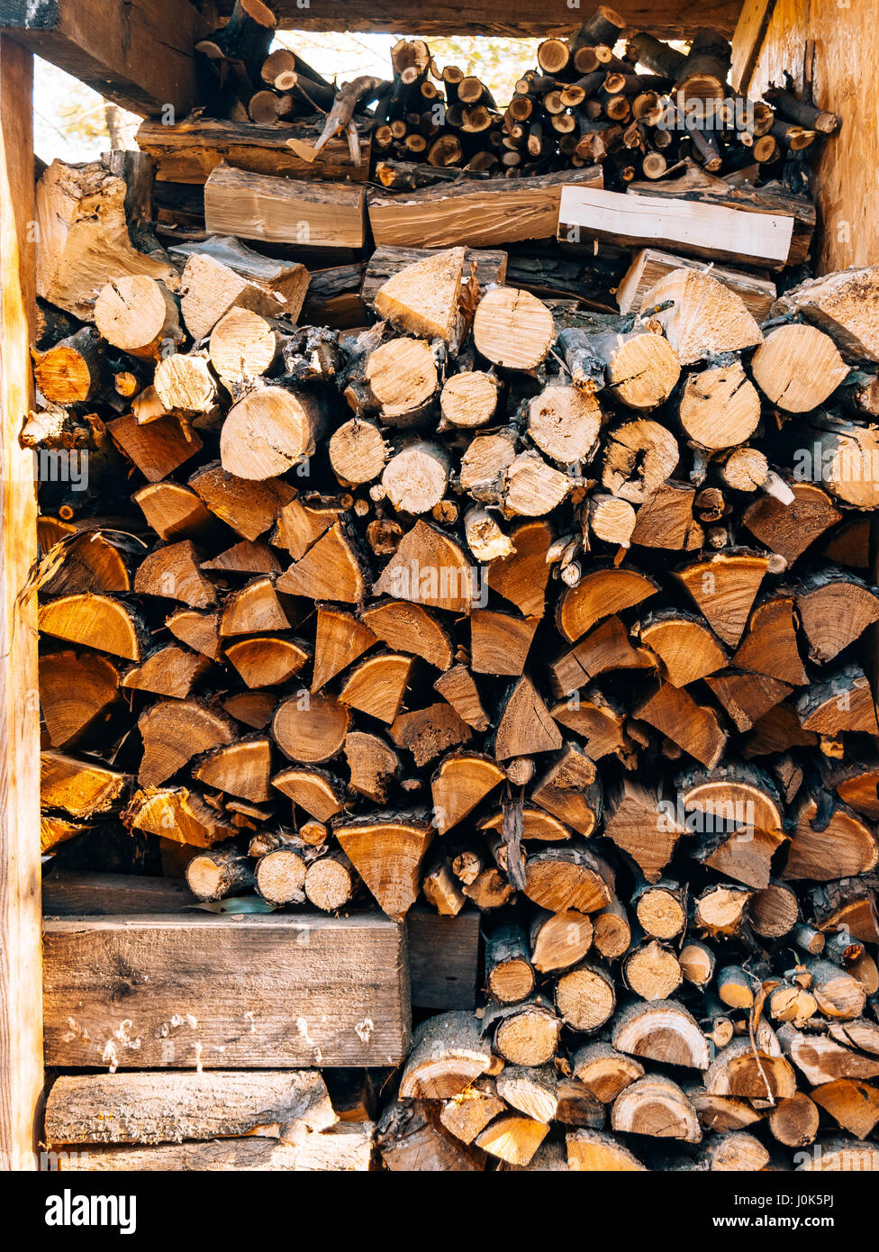 Logs of a tree. The sawn wood. The texture of the sawn wood Stock Photo ...