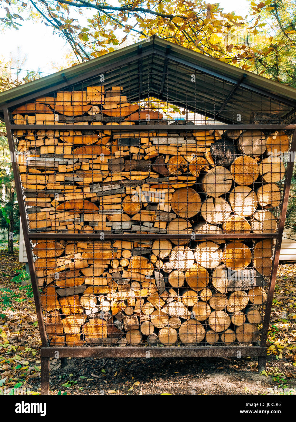 Logs of a tree. The sawn wood. The texture of the sawn wood Stock Photo ...