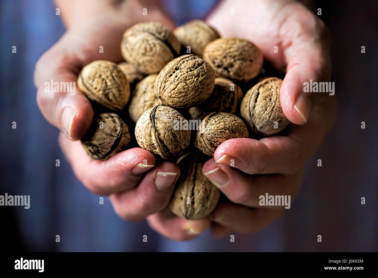 Woman With A Handful Of Walnuts High Resolution Stock Photography and ...