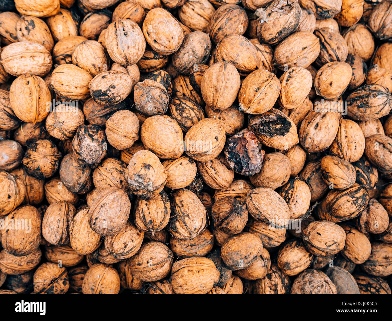 Many walnuts. Nuts in a box. Texture nuts Stock Photo - Alamy