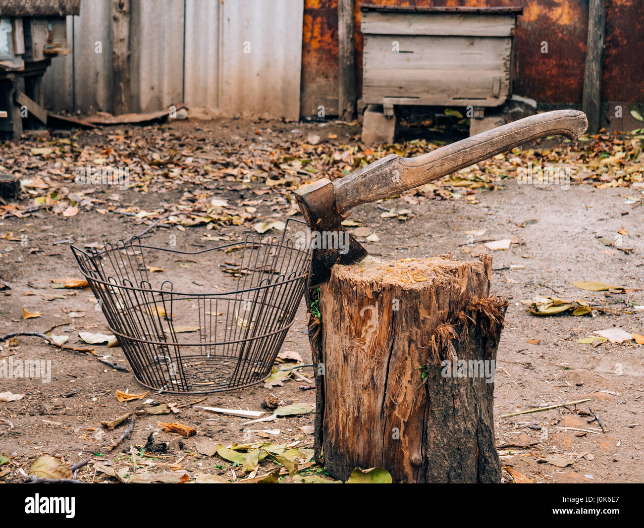 The ax in the stump. An ax with a wooden handle for cutting a tree for ...