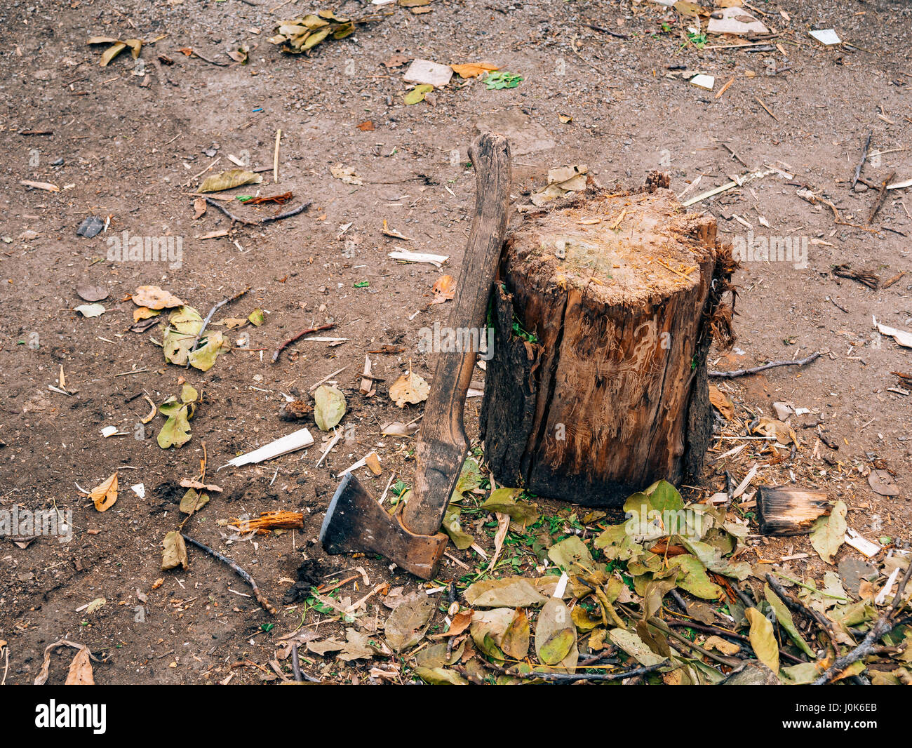 The ax in the stump. An ax with a wooden handle for cutting a tree for ...