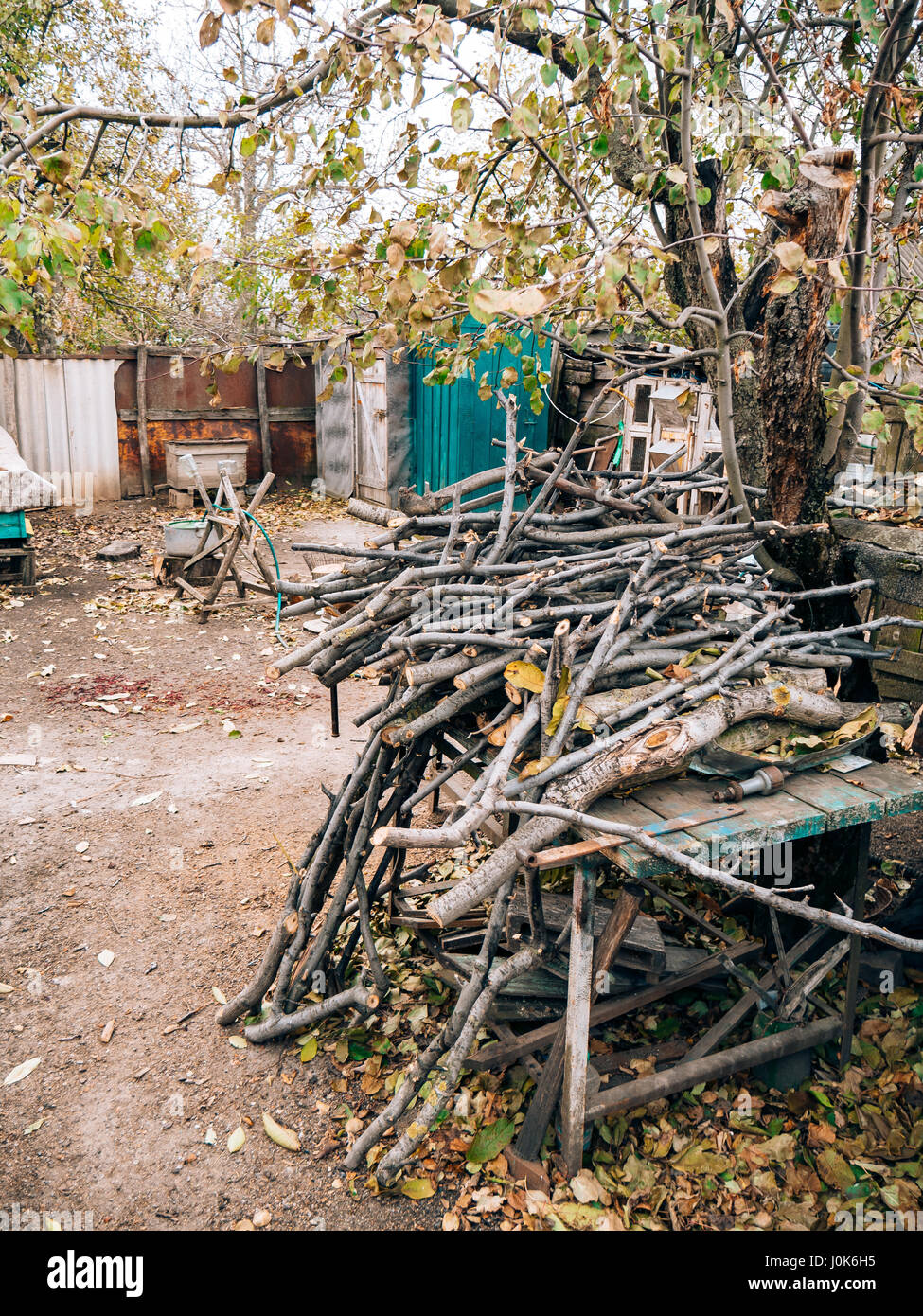 Logs of a tree. The sawn wood. The texture of the sawn wood Stock Photo ...