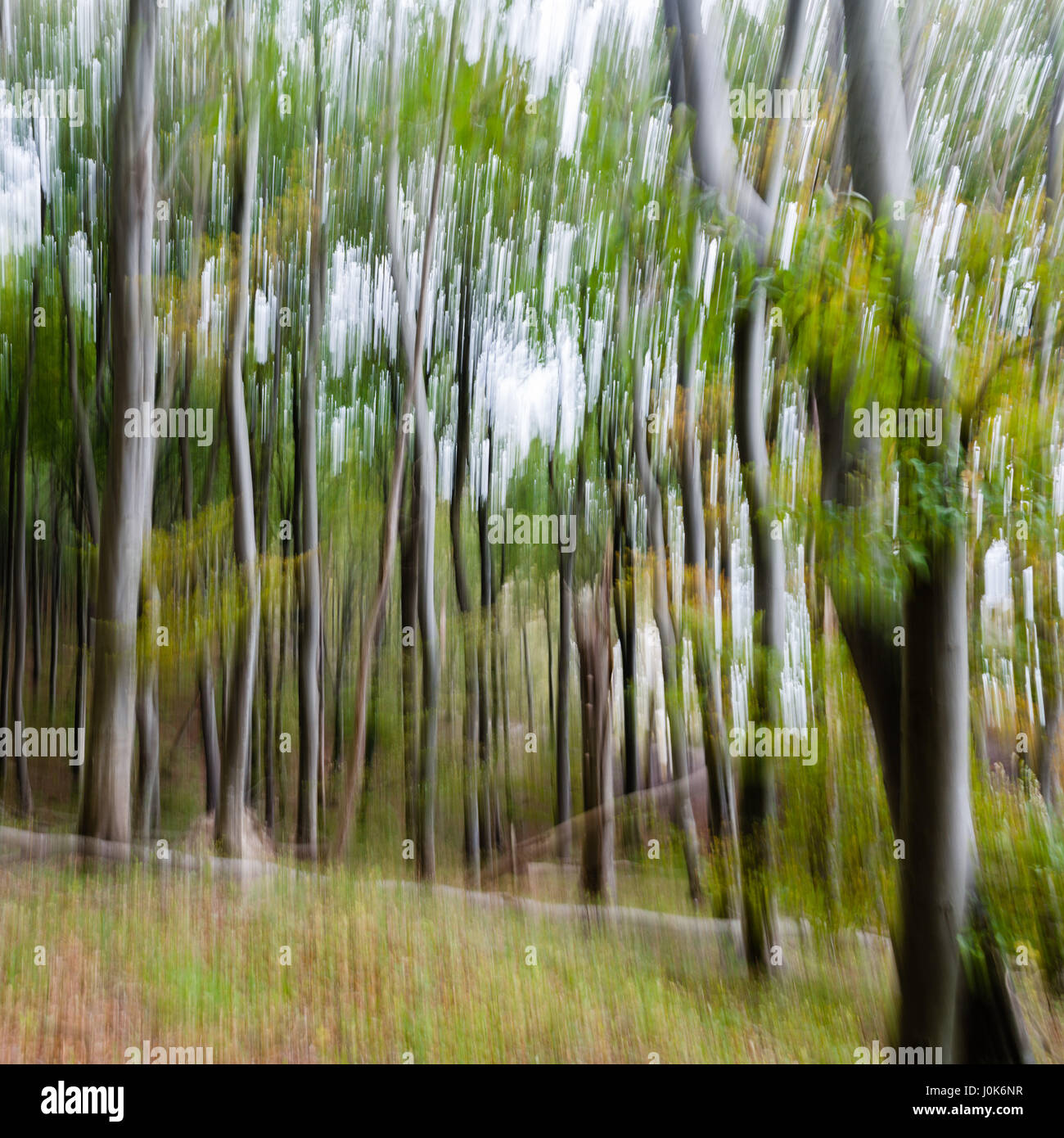 Person falling out of tree hi-res stock photography and images - Alamy