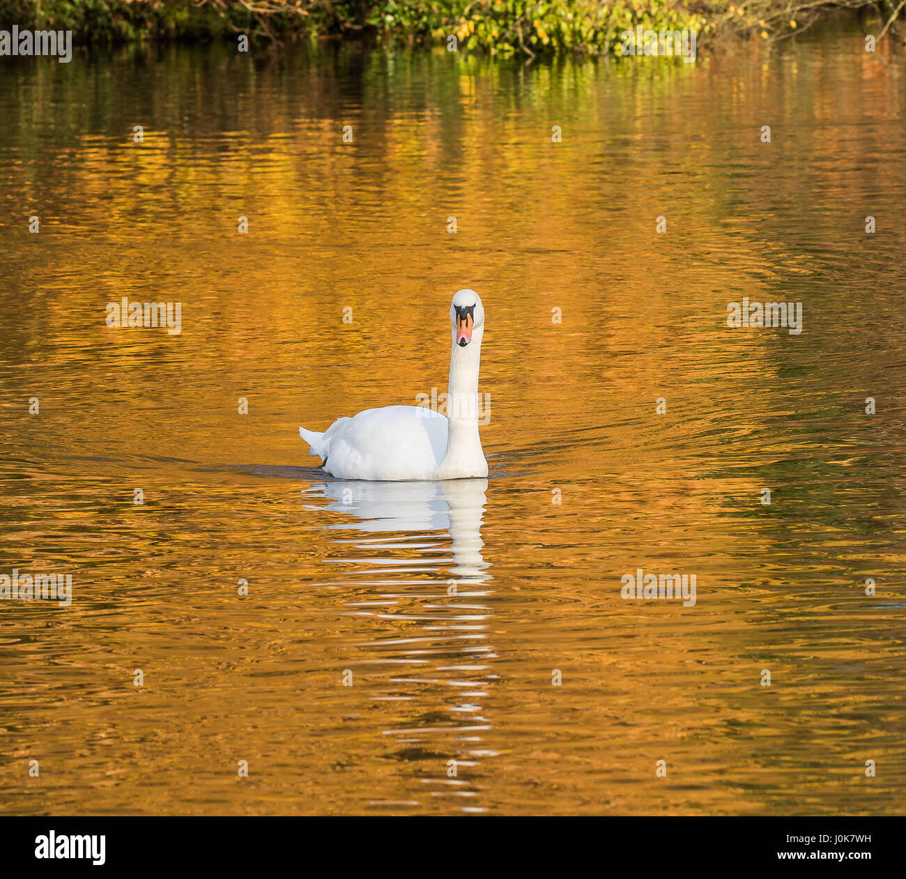 Rowley lake hi-res stock photography and images - Alamy