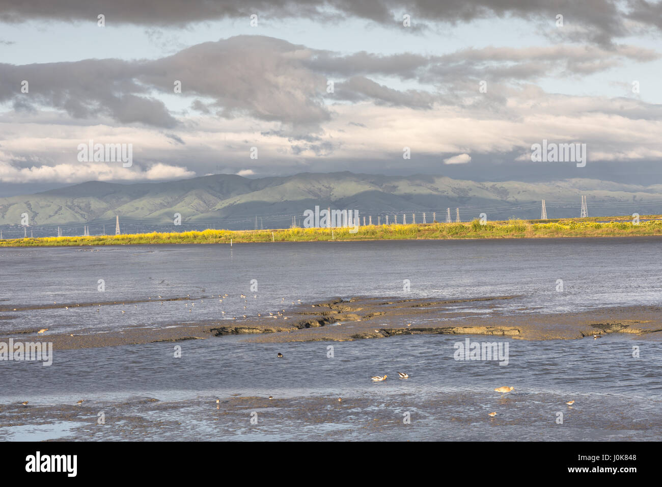 Tide range hi-res stock photography and images - Alamy