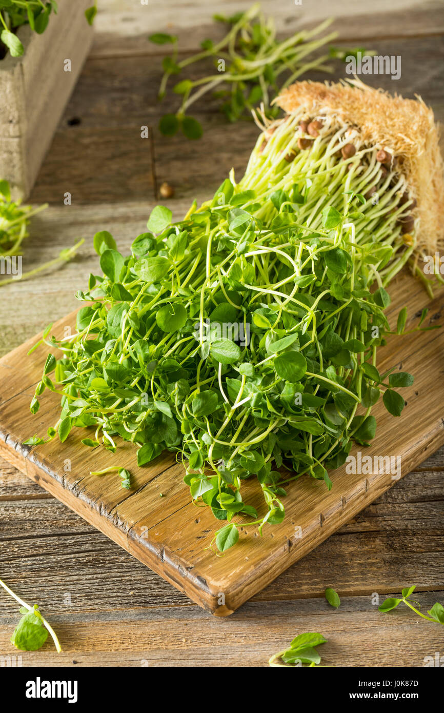 Healthy organic food pea hi-res stock photography and images - Alamy