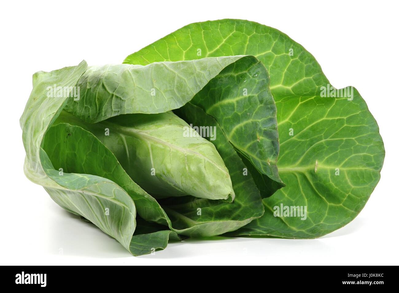Pointed cabbage hi-res stock photography and images - Alamy