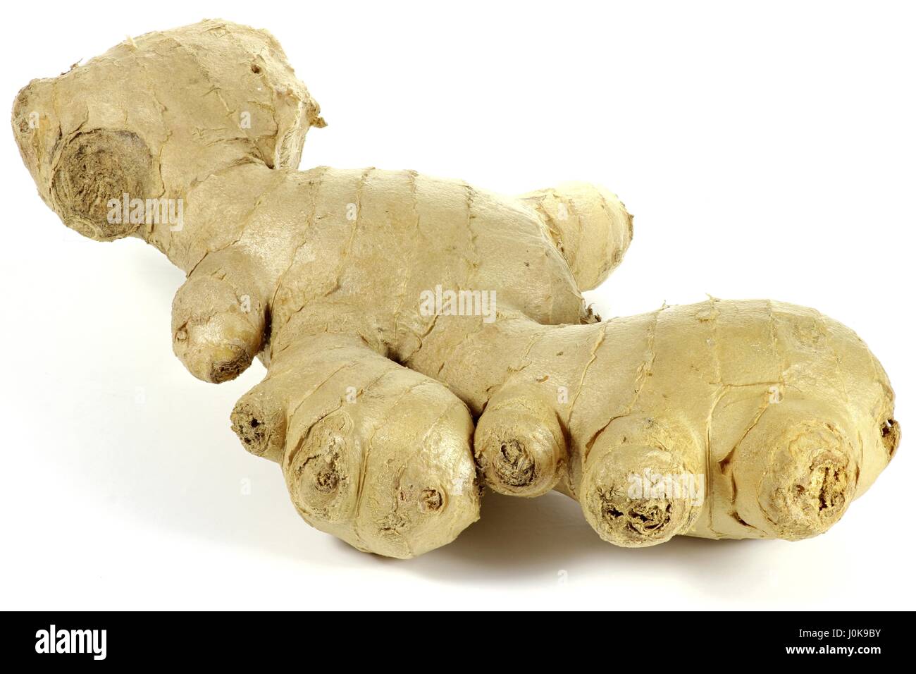 ginger rhizome isolated on white background Stock Photo - Alamy